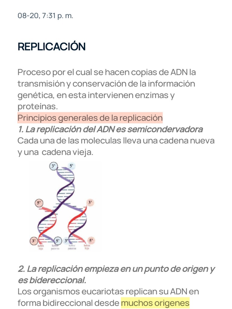 Replicación Del ADN | PDF | Replicación De Adn | Adn