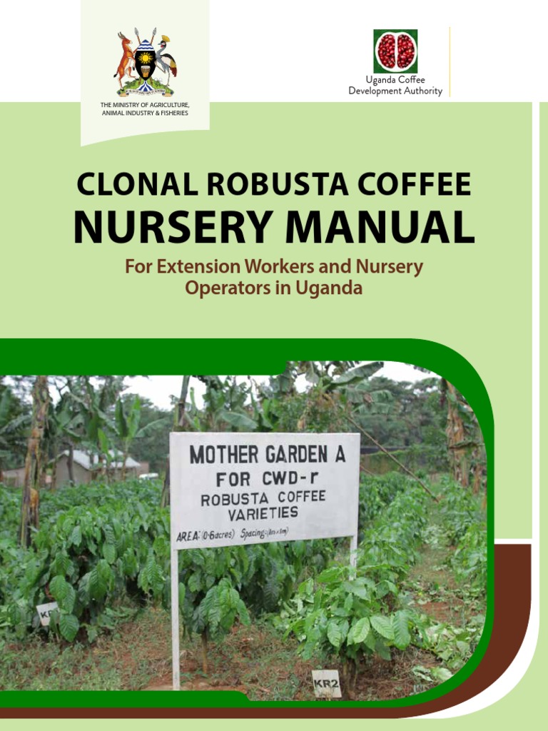 Clonal Robusta Coffee Nursery Manual | PDF