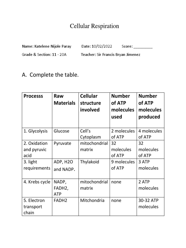 Act 5 Cellular Respiration | PDF Act 5 Cellular Respiration | PDF