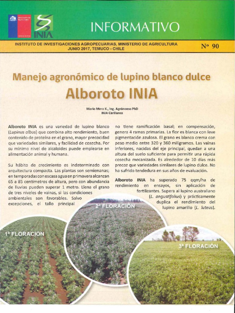 Manejo del Lupino Alboroto INIA en Chile | PDF | Agricultura | Suelo