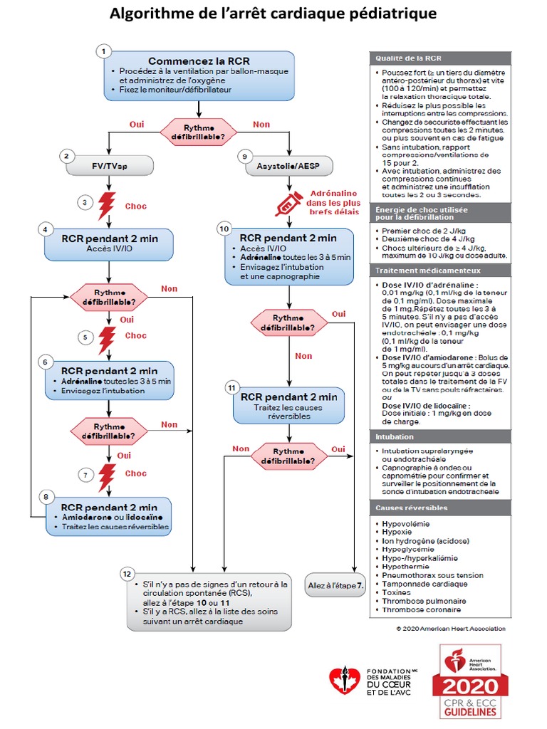 Algorithme ACR Ped | PDF