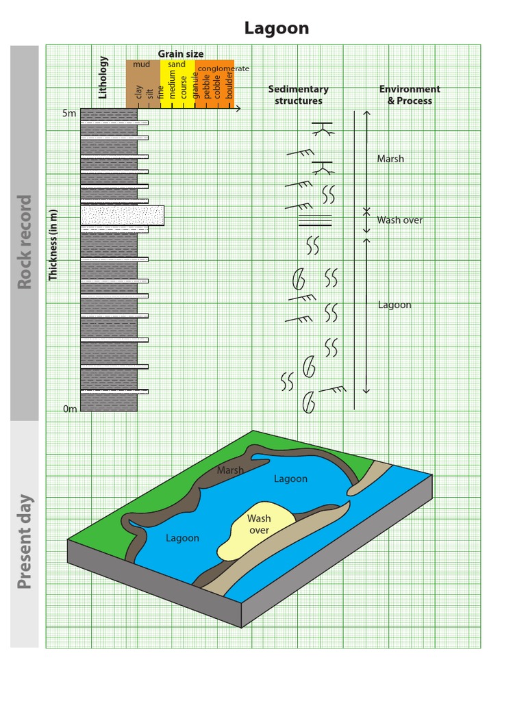Facies Model Summary Lagoon | PDF