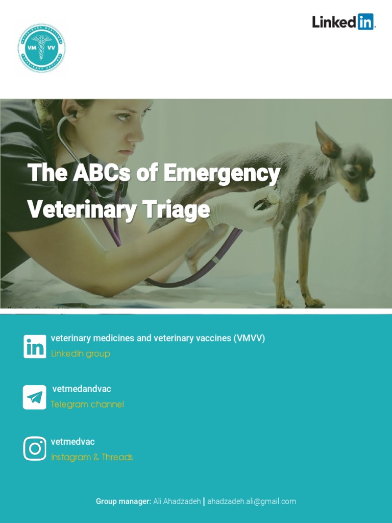 ABC of Emergency Vet Triage 1691081646 | PDF | Shock (Circulatory ...