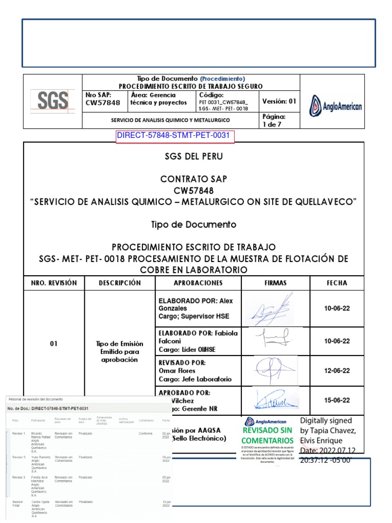 SGS-MET-PET-018 - Procesamiento de La Muestra de Flotacion de Cobre en ...