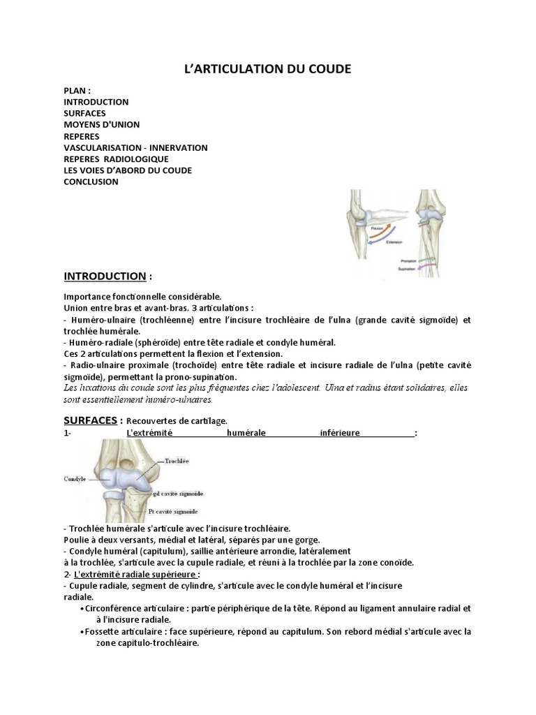 Articulation Du Coude | PDF | Anatomie | Système squelettique