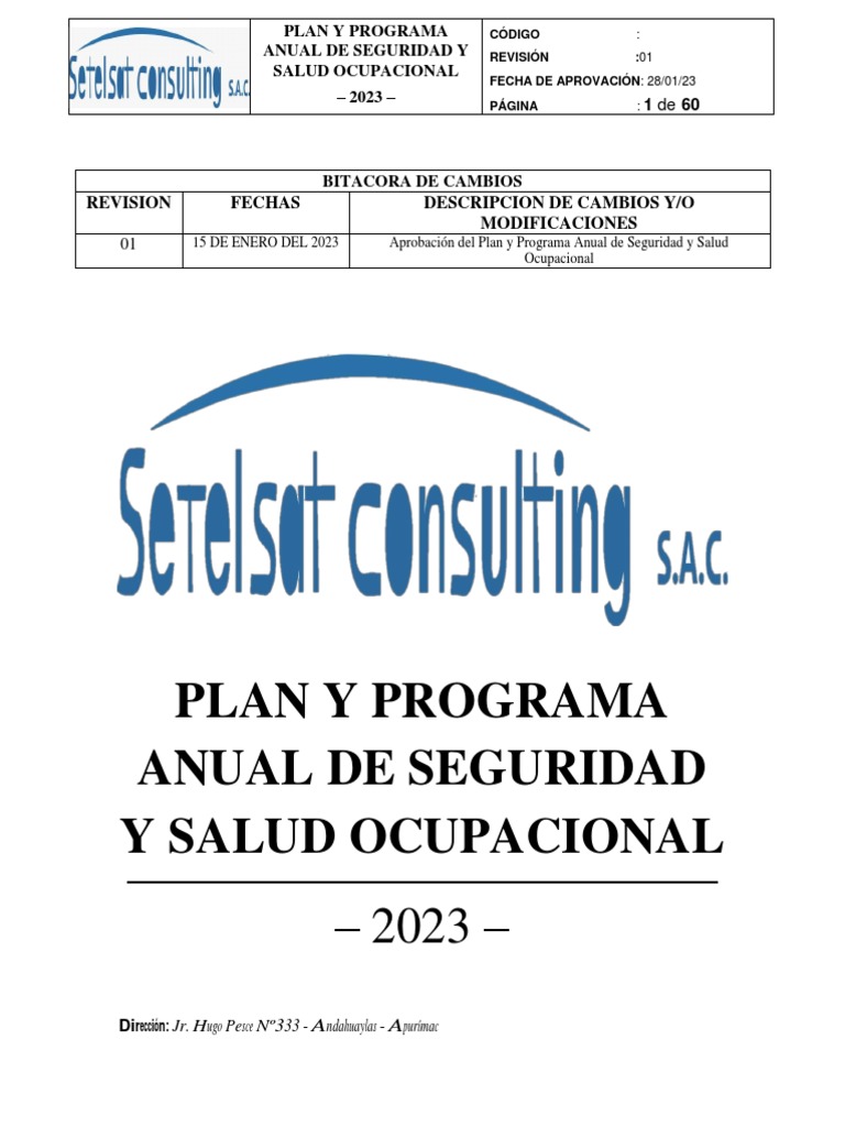 Plan Anual de Seguridad y Salud Ocupacional | PDF | Seguridad y salud ocupacional | Business