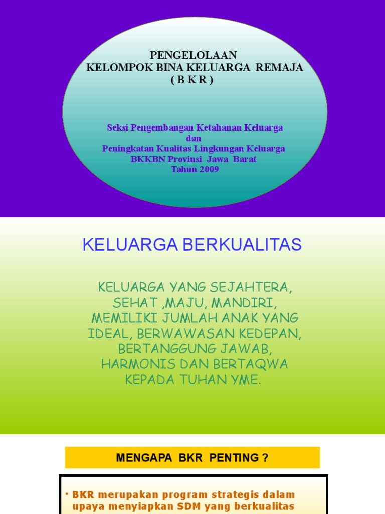Materi BKR | PDF