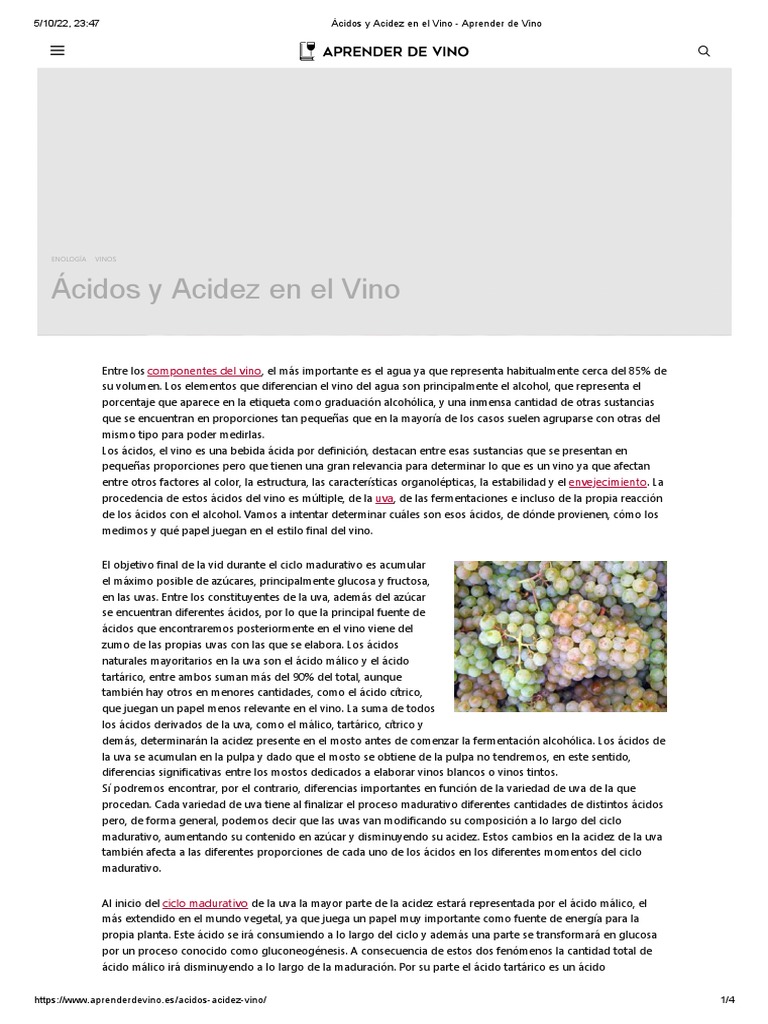 Ácidos y Acidez en El Vino - Aprender de Vino | PDF