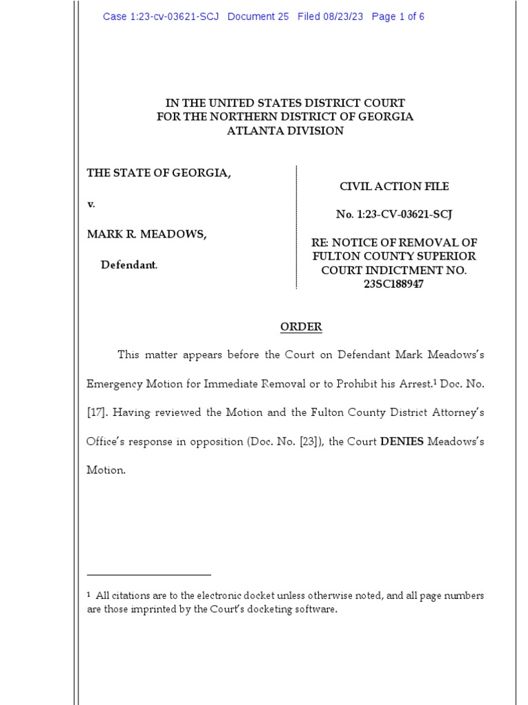 Order Denying Relief - Meadows | PDF | Injunction | Preliminary Hearing
