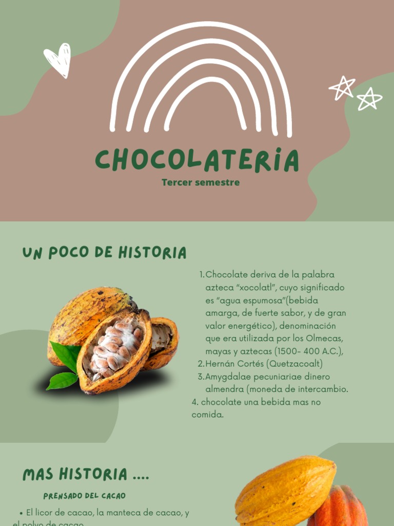 Historia y Proceso del Chocolate | PDF | Chocolate | Sólidos de cacao