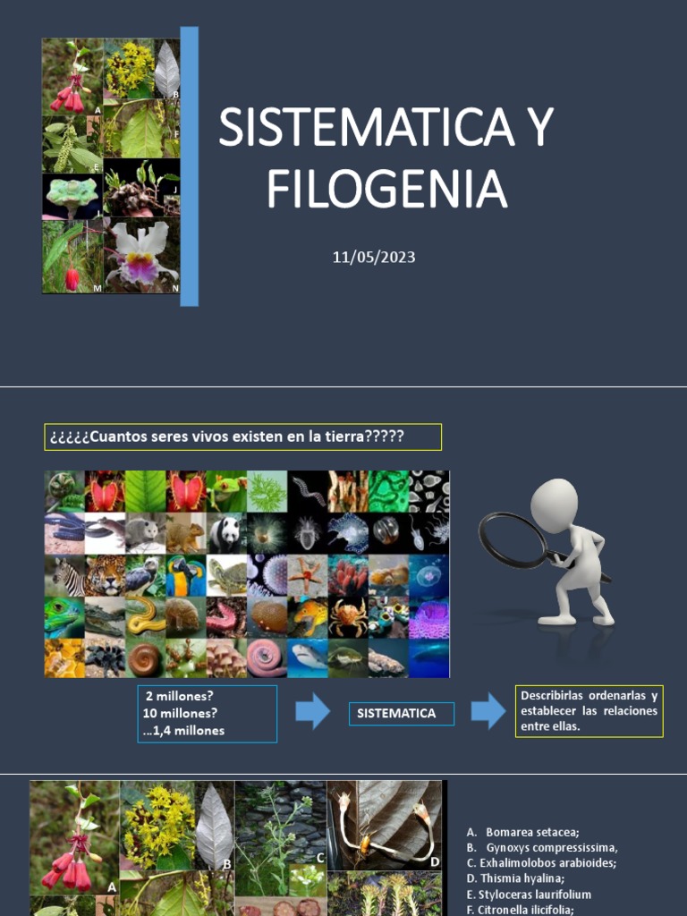 Sistematica y Filogenia | PDF | Taxonomía (biología) | Especies