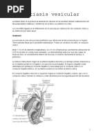 Anatomía del triángulo de Calot y Buddé | PDF | Vesícula biliar | Hígado