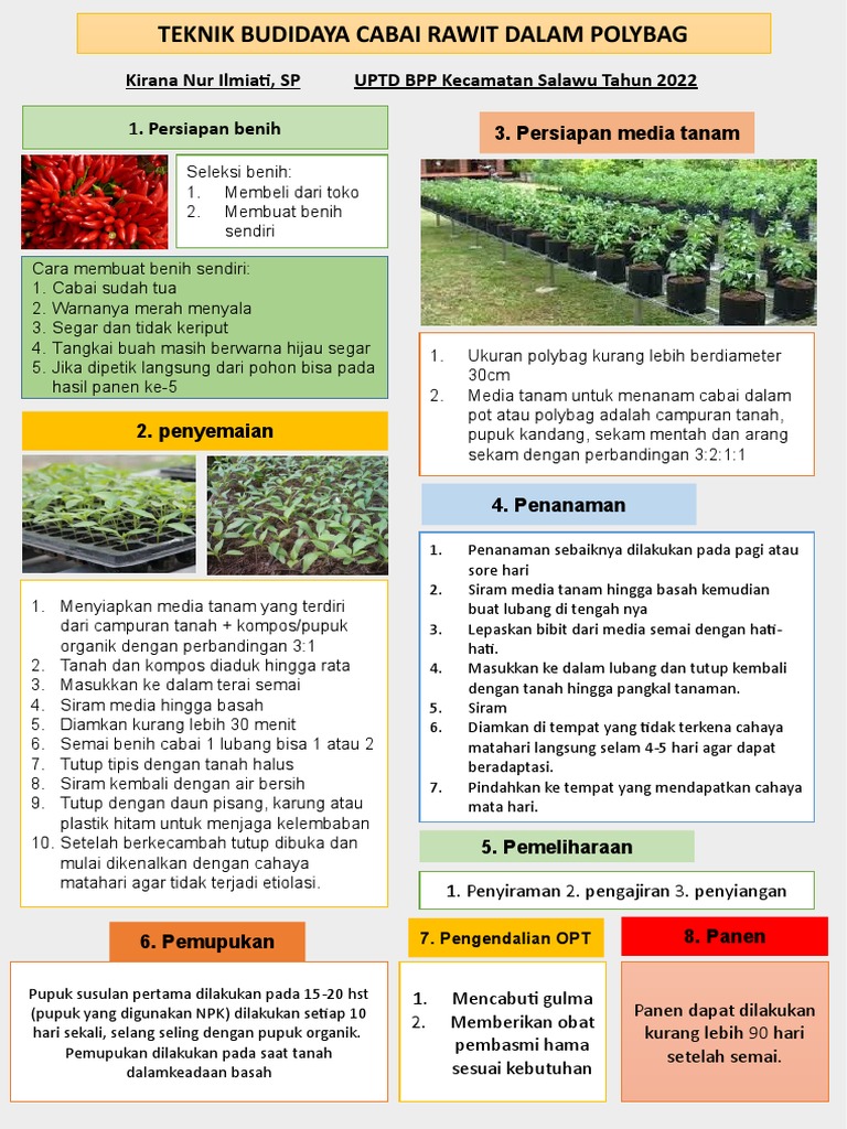 Budidaya Cabai | PDF