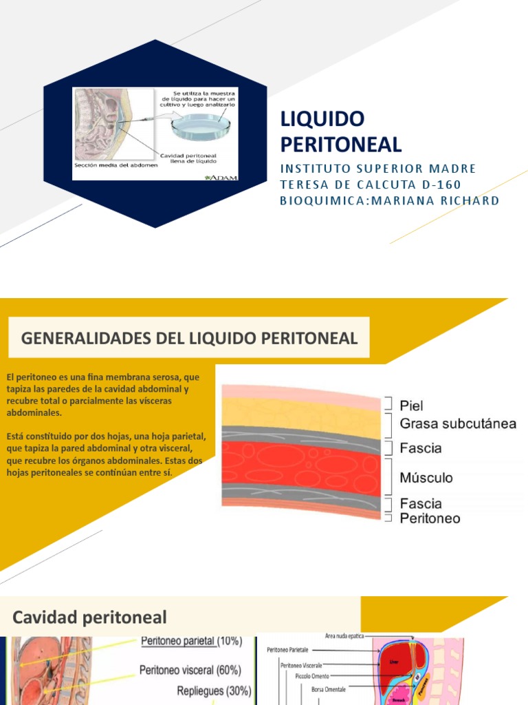 Características del líquido peritoneal | PDF | Articulación | Anatomía