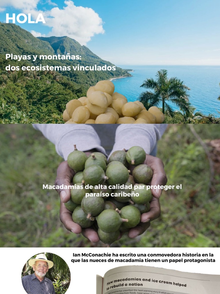 Macadamia La Loma | PDF