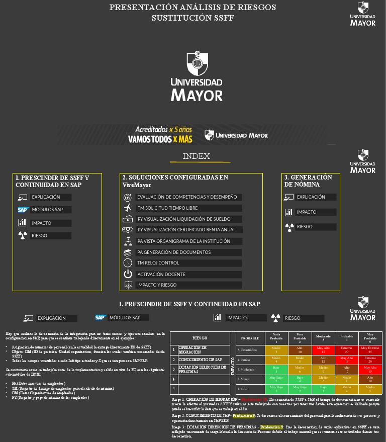 Análisis de Riesgo Sustitución SSFF | PDF
