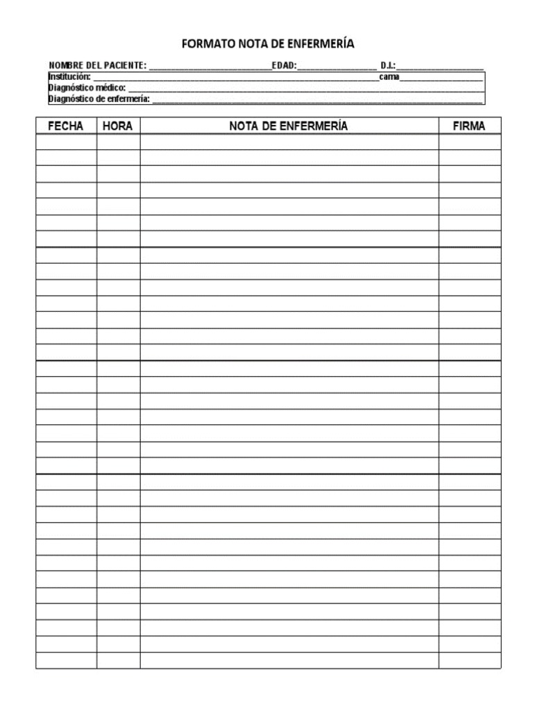 Formato Nota de Enfermeria | PDF