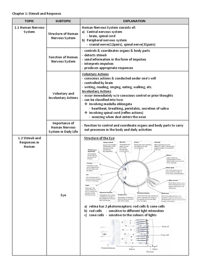 Science Form 3 (Notes) - 230824 - 011652 | PDF