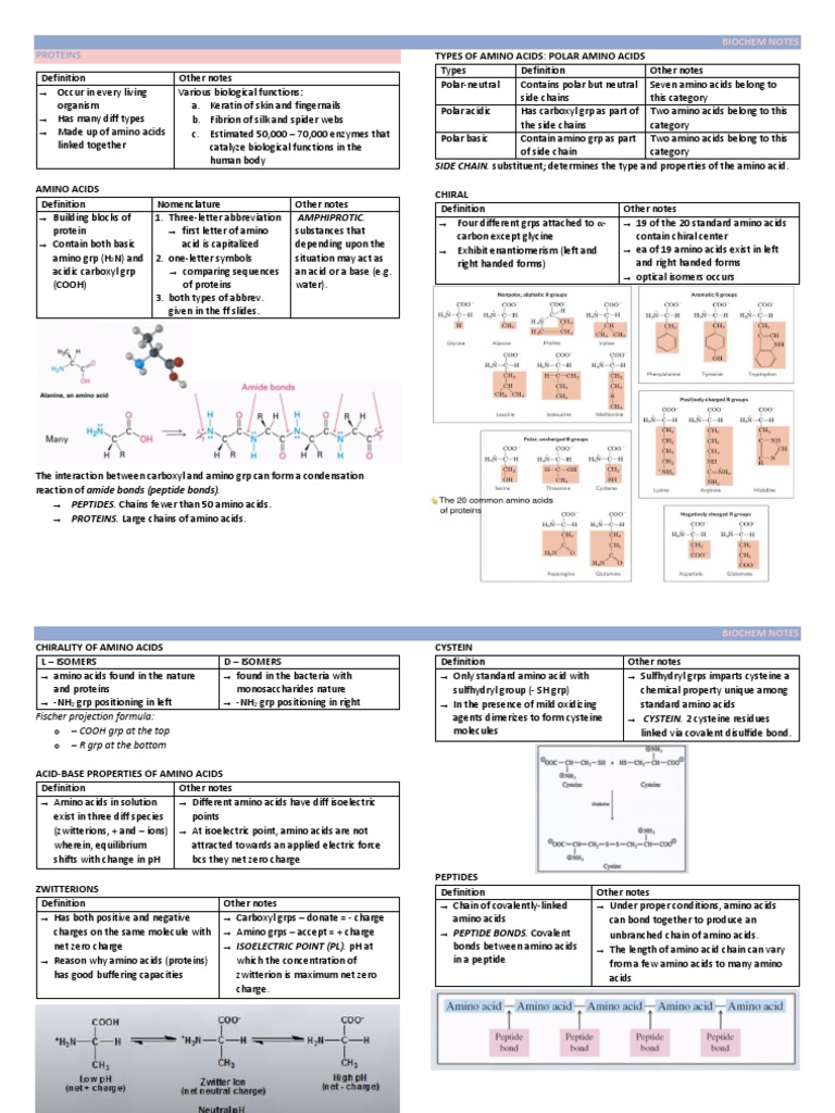 Biochemistry Proteins | PDF | Amino Acid | Lipoprotein