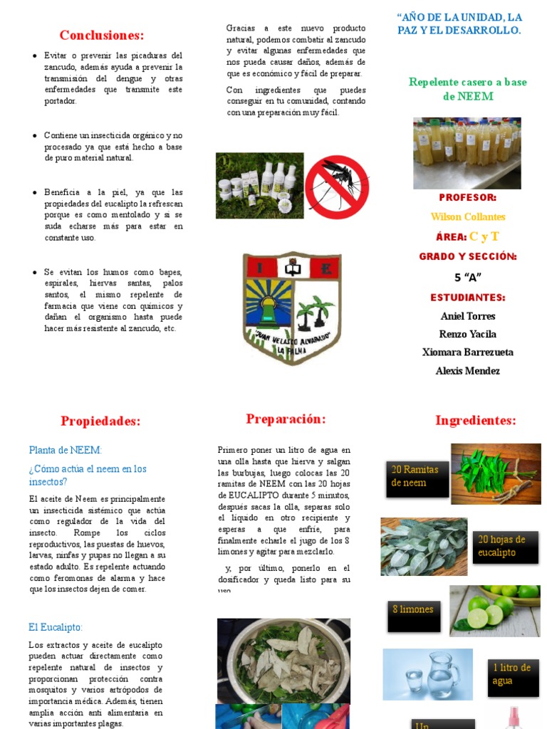 Triptico CyT Repelente Cacero A Base de NEEM | PDF | Insectos | Insecticida