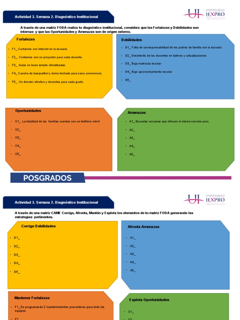 Actividad 3. Semana 2. Diagnóstico Institucional | PDF