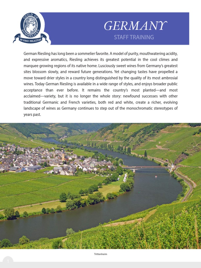 GS Germany Wine Guide | PDF
