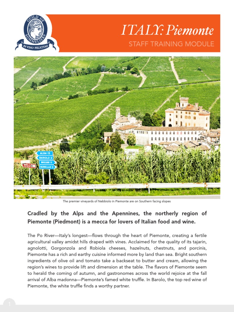 GS Piemonte Wine Guide | PDF | Fermented Drinks | Grape