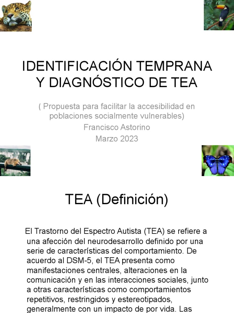 Identificaciòn Temprana y Diagnóstico de Tea | PDF