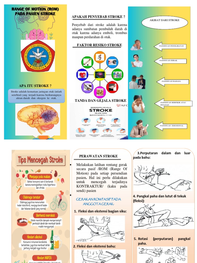 Leaflet Stroke Rom | PDF