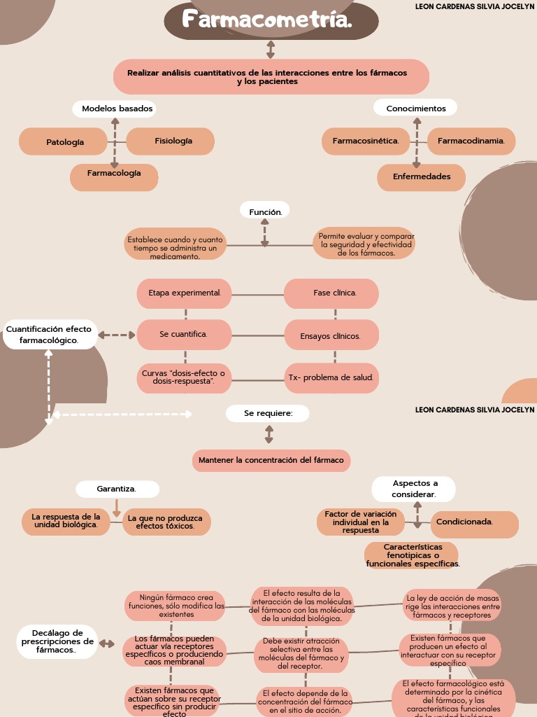 Mapa Conceptual 5 | PDF
