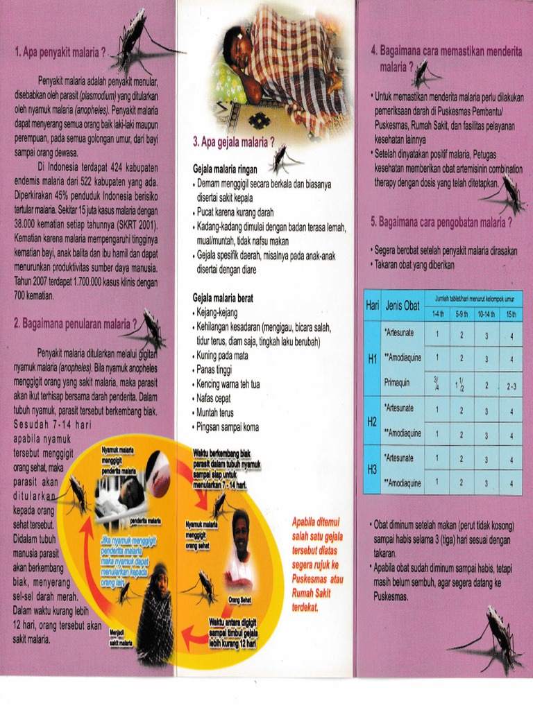 Leaflet Bahan KIE P2 Malaria | PDF