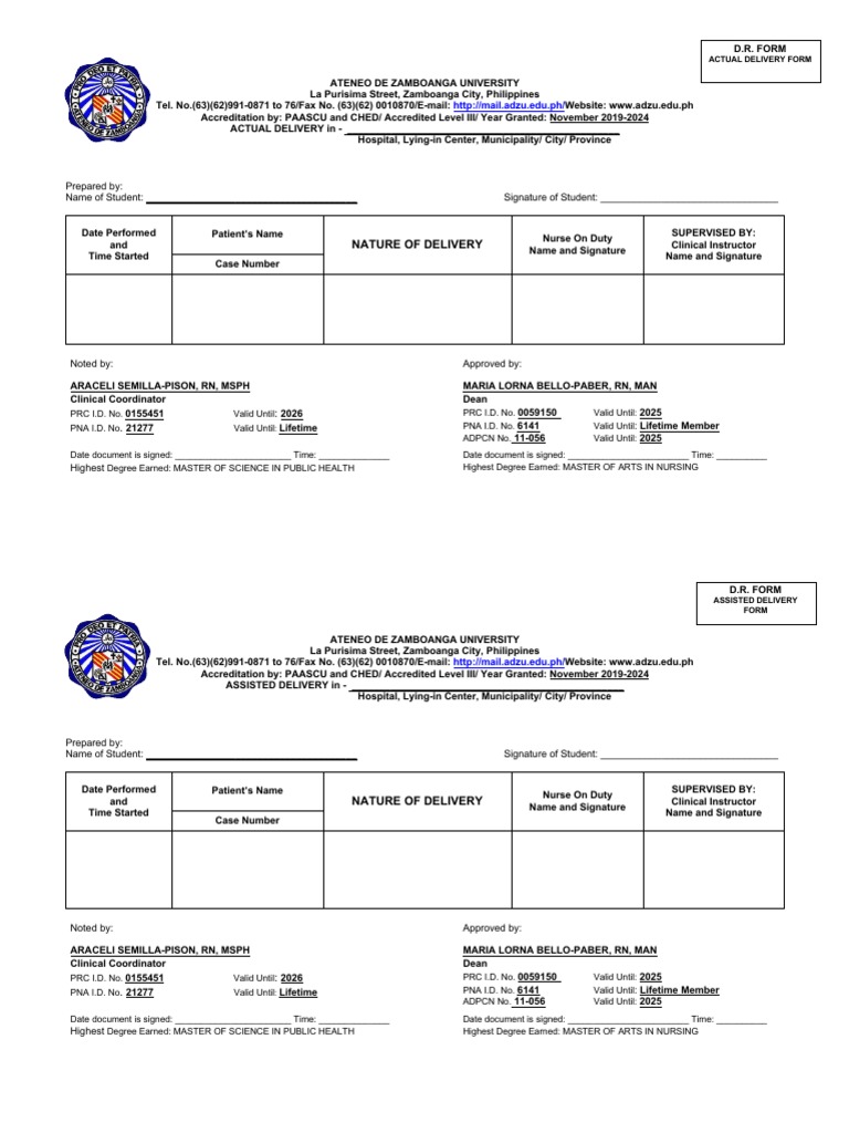 Actual Delivery Documentation Guide | PDF | Nursing | Public Services