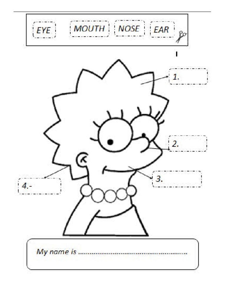 1° Partes Del Rostro | PDF