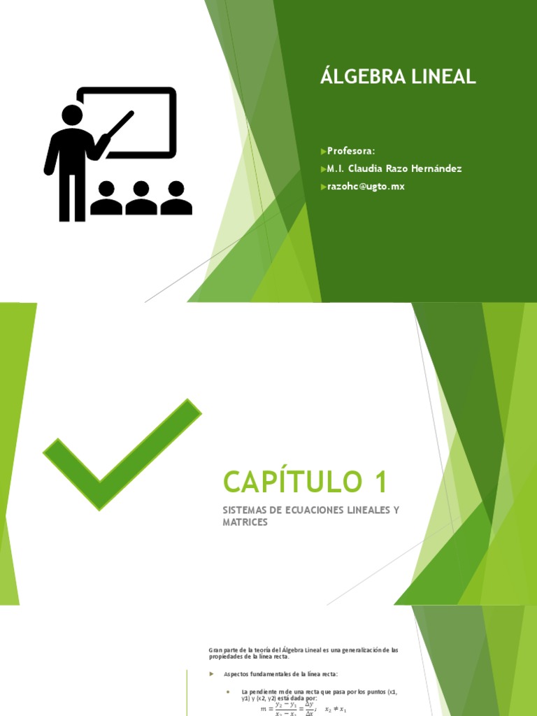 Álgebra Lienal Capítulo 1 | PDF | Matriz (Matemáticas) | Conceptos matemáticos