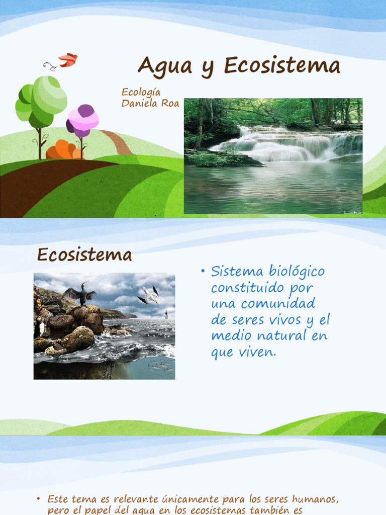 Agua y Ecosistema PRESENTACION | PDF