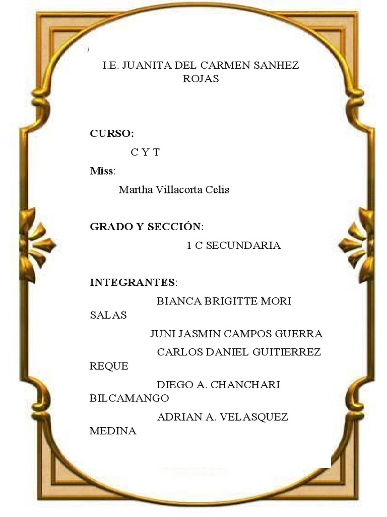 Bianca | PDF | Aspiradora | Bienes manufacturados