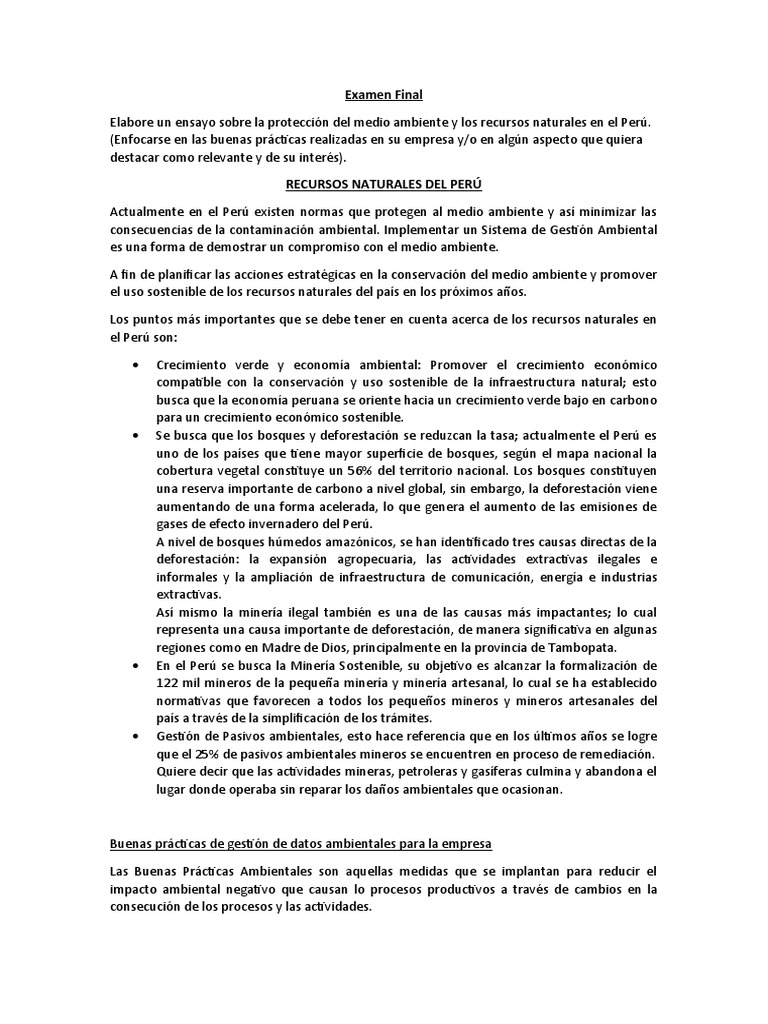 Examen Final - LORENA JUNES | PDF