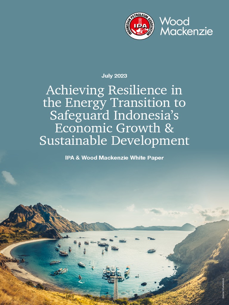 Indonesia's Energy Transition Blueprint | PDF
