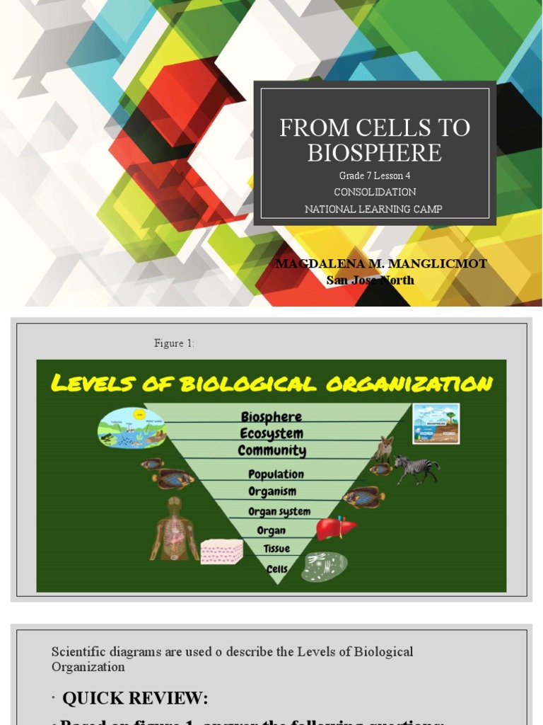 Grade 7 - Consolidation4 - From Cells To Biosphere | PDF | Career & Growth