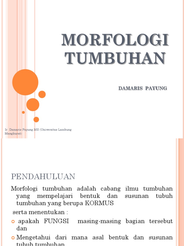 Morfologi Tumbuhan: Kormus dan Daun | PDF | Griya & Taman | Kesehatan ...
