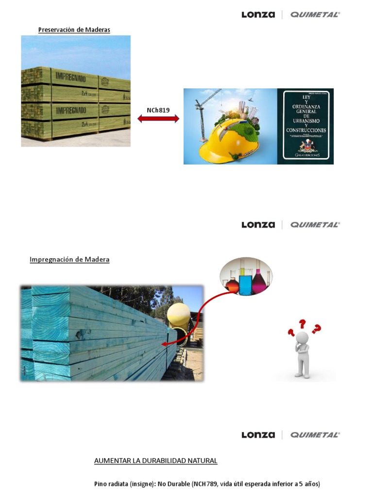 Durabilidad Natural de La Madera y Tipos de Impregnacion Segun La ...