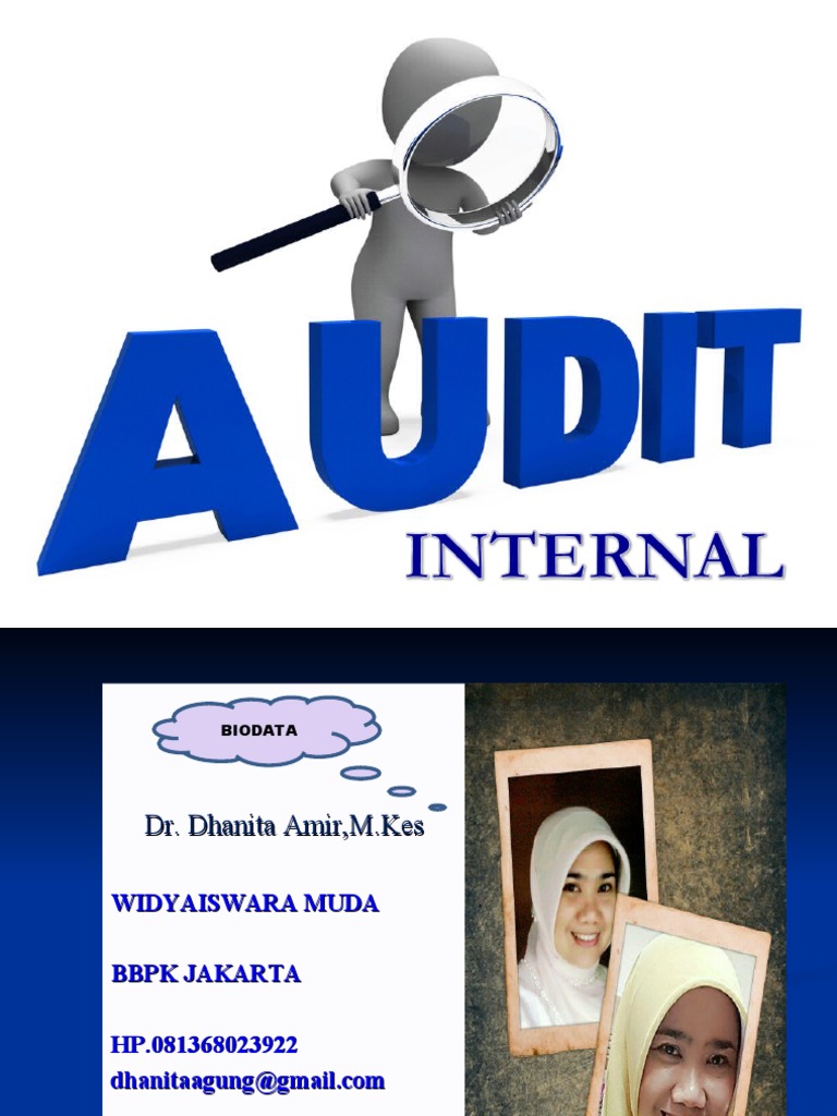 Audit Internal | PDF