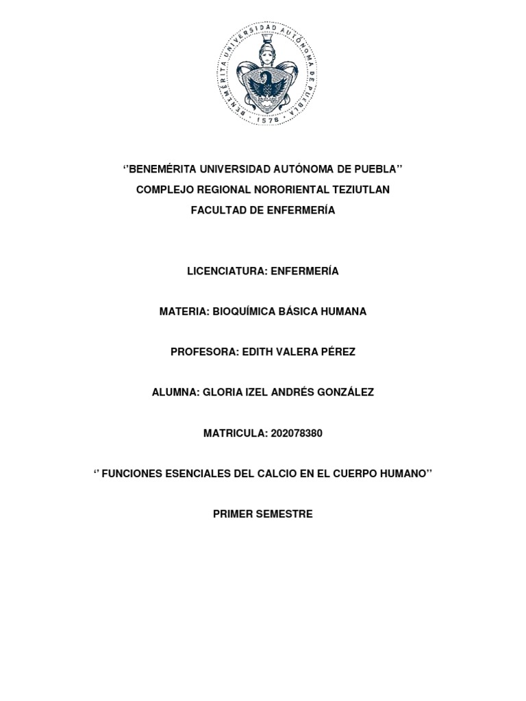 Calcio Funciones | PDF | Calcio | Hueso