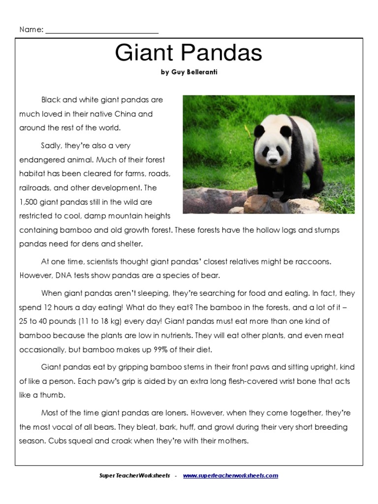 11th Giant Pandas - CHINA | PDF