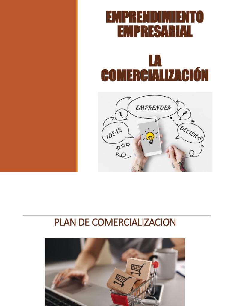 Plan De Comercializacion Pdf