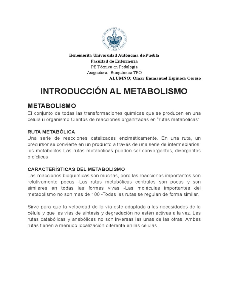 4.introducción Al Metabolismo | PDF