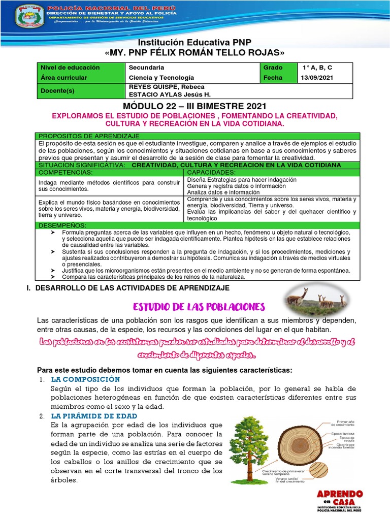 MÓDULO 22 - III°BIM - CyT 1ro | PDF