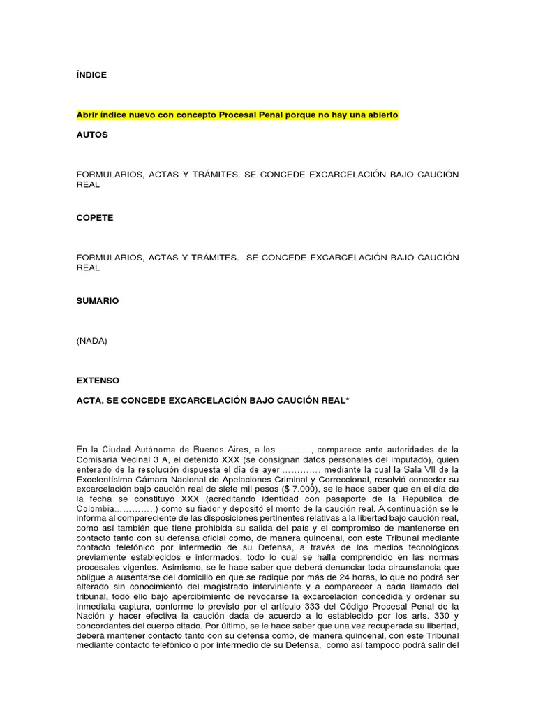 Modelo - Acta de caución | PDF | Gobierno | Justicia