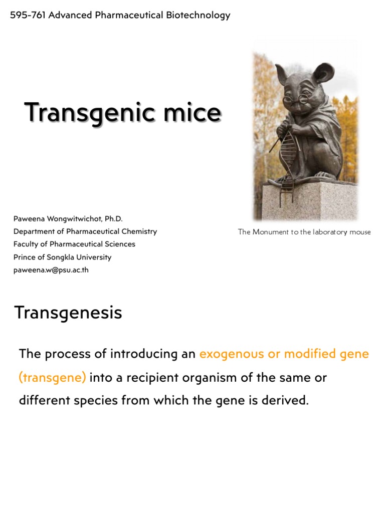 595-761 Transgenic Mice 2022 PW | PDF | Crispr | Transposable Element