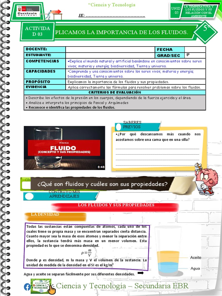 B 5º Act 3 Cyt Und 5 | PDF